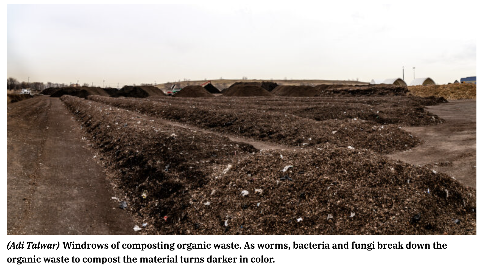 How NYC Turns Food & Yard Waste Into ‘Big Apple Compost’ - Denali Water ...